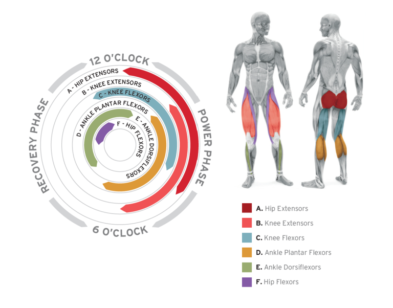 Performance Spin… What’s It All About? - TFD Gym