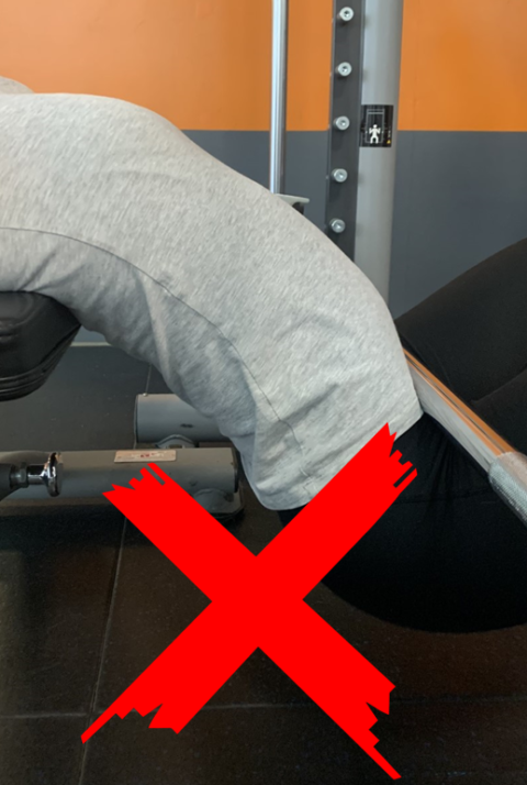 Smith Machine Hip Thrust - tfd gym